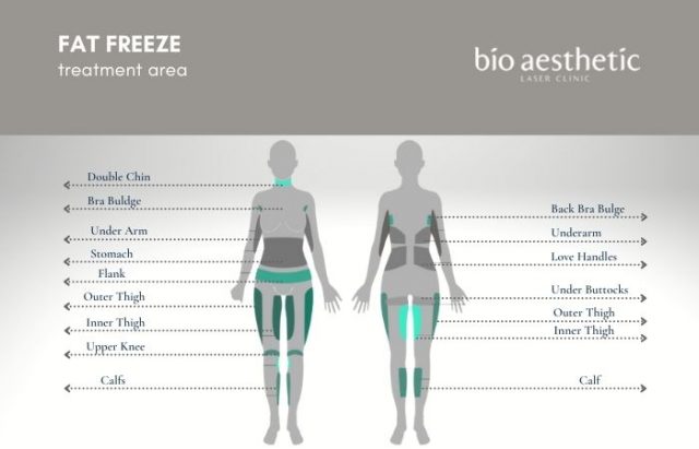 Fat Freezing Does it Work? Pros & Cons (2023) - Bio Aesthetic