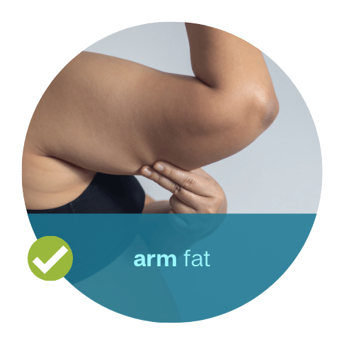Fat Freeze Singapore - (2026) Price & Treatment - Bio Aesthetic