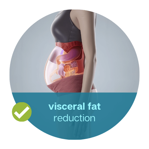 Viscera Sculpt™ | How to Reduce Visceral Fat in Singapore - Bio Aesthetic